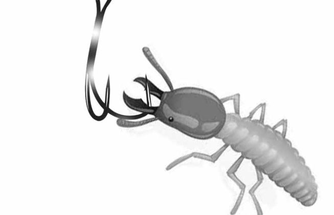 Termite Baits, Stations & DIY Traps | Pestbugs